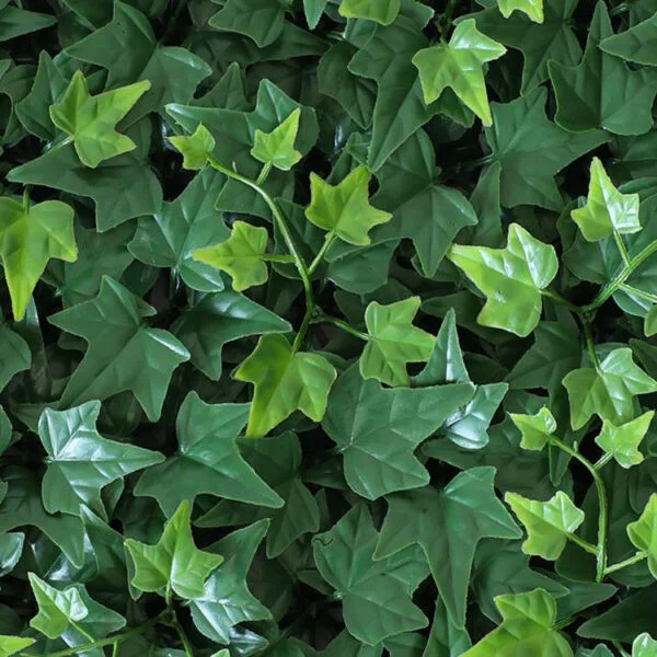 Kunst Klimop Kopen? | Ruime Keuze | Kunsthaagvoordeel